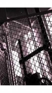 Olivia Baum - LETRAS.COM (1 canción)