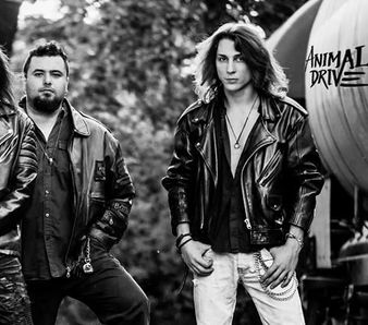 Animal Drive - LETRAS.COM (11 canciones)