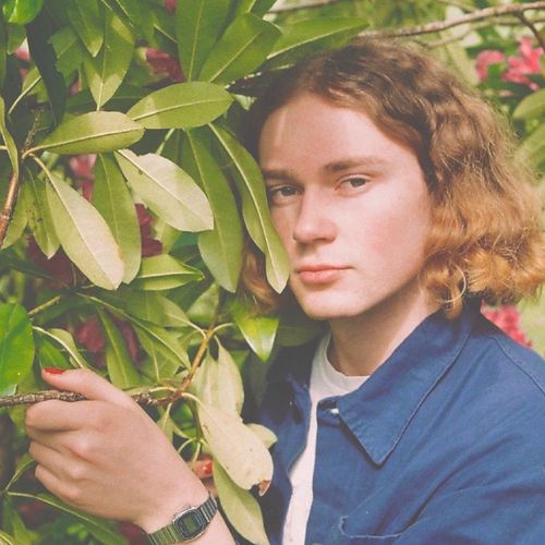 Birch Tree - Strawberry Guy - Cifra Club
