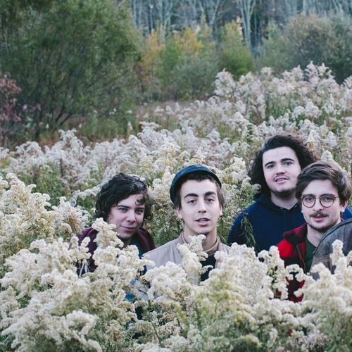 Unfamiliar Sun - Twin Peaks - Cifra Club