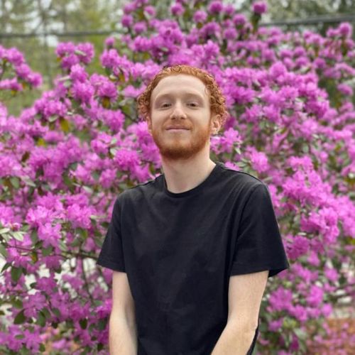 Alex Roma | Cifra Club