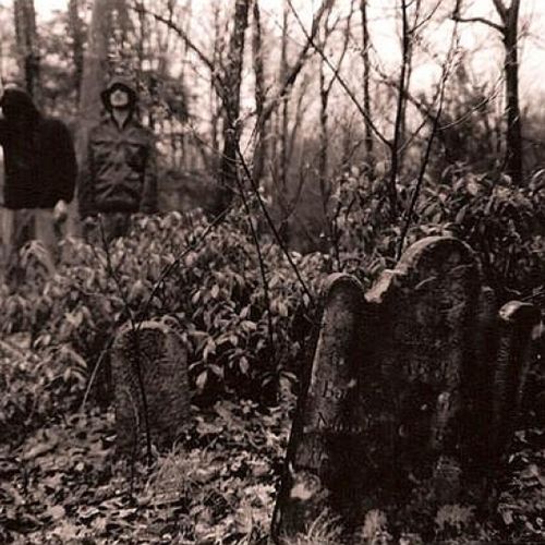 A Quick One Before The Eternal Worm Devours Connecticut - Have A Nice ...