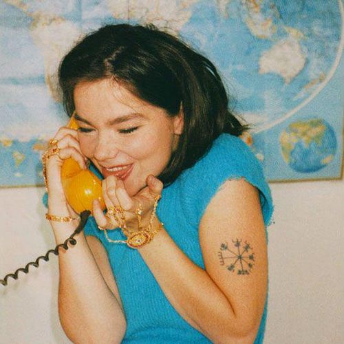 Human Behaviour - Björk - Cifra Club