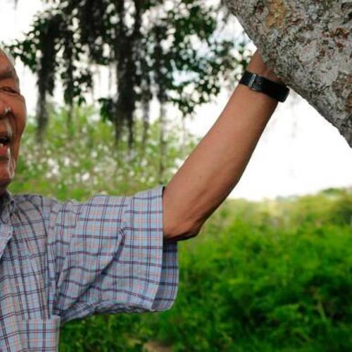 Matilde Lina - Leandro Diaz (letra da música) - Cifra Club