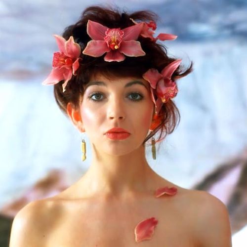 Dreamtime - Kate Bush (letra da música) - Cifra Club