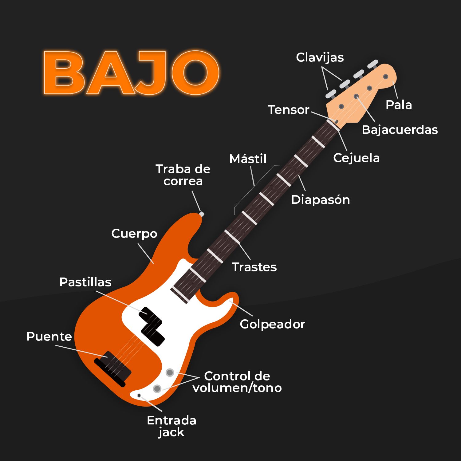Partes del bajo: conoce la anatomía del instrumento | Blog do Cifra Club