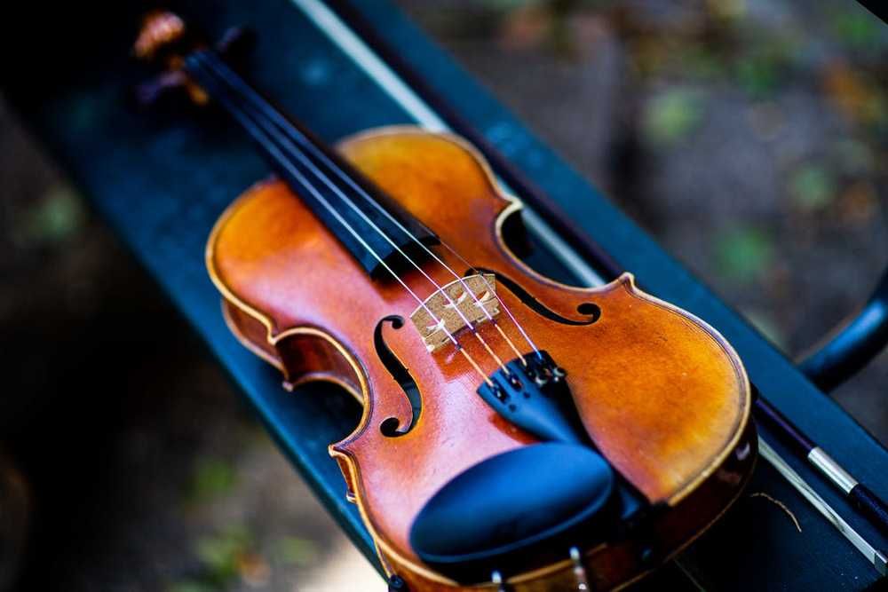 Tudo o que você precisa saber antes de comprar um violino | Blog do ...
