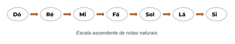Escalas musicais: o que são e como estudá-las? | Blog do Cifra Club