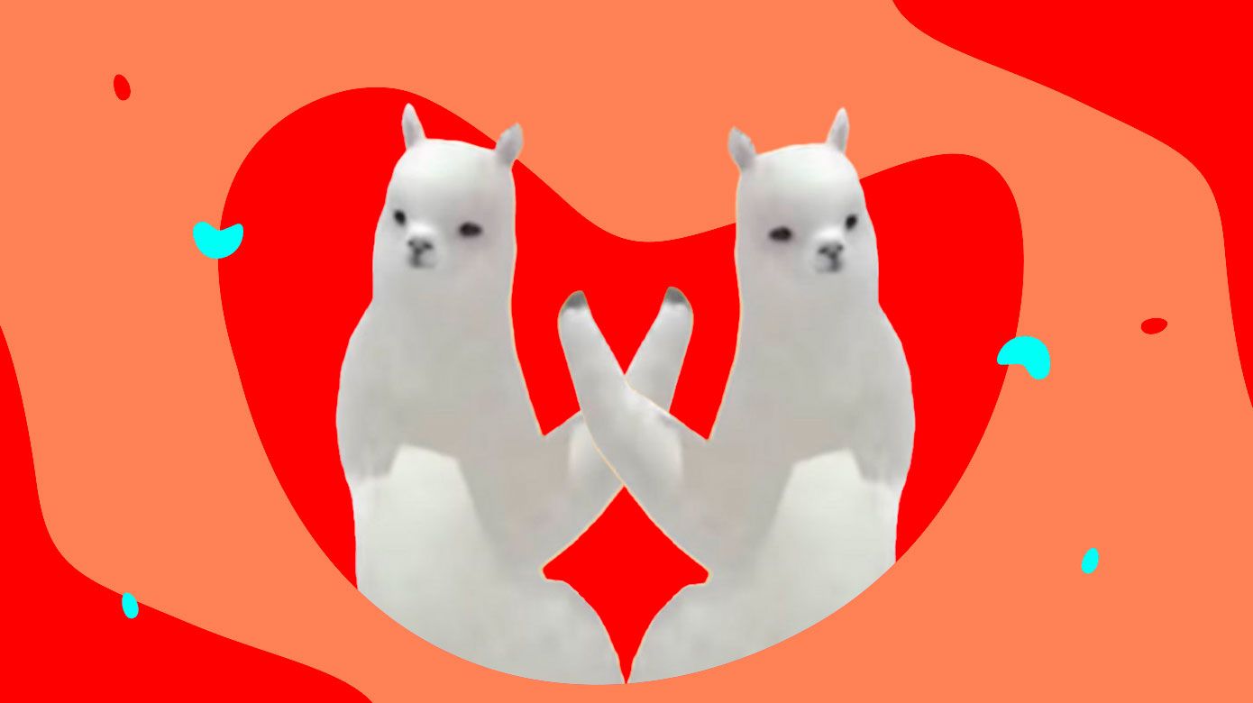 Mi Pan Su Su Sum: entenda o significado do novo hit do TikTok - LETRAS ...