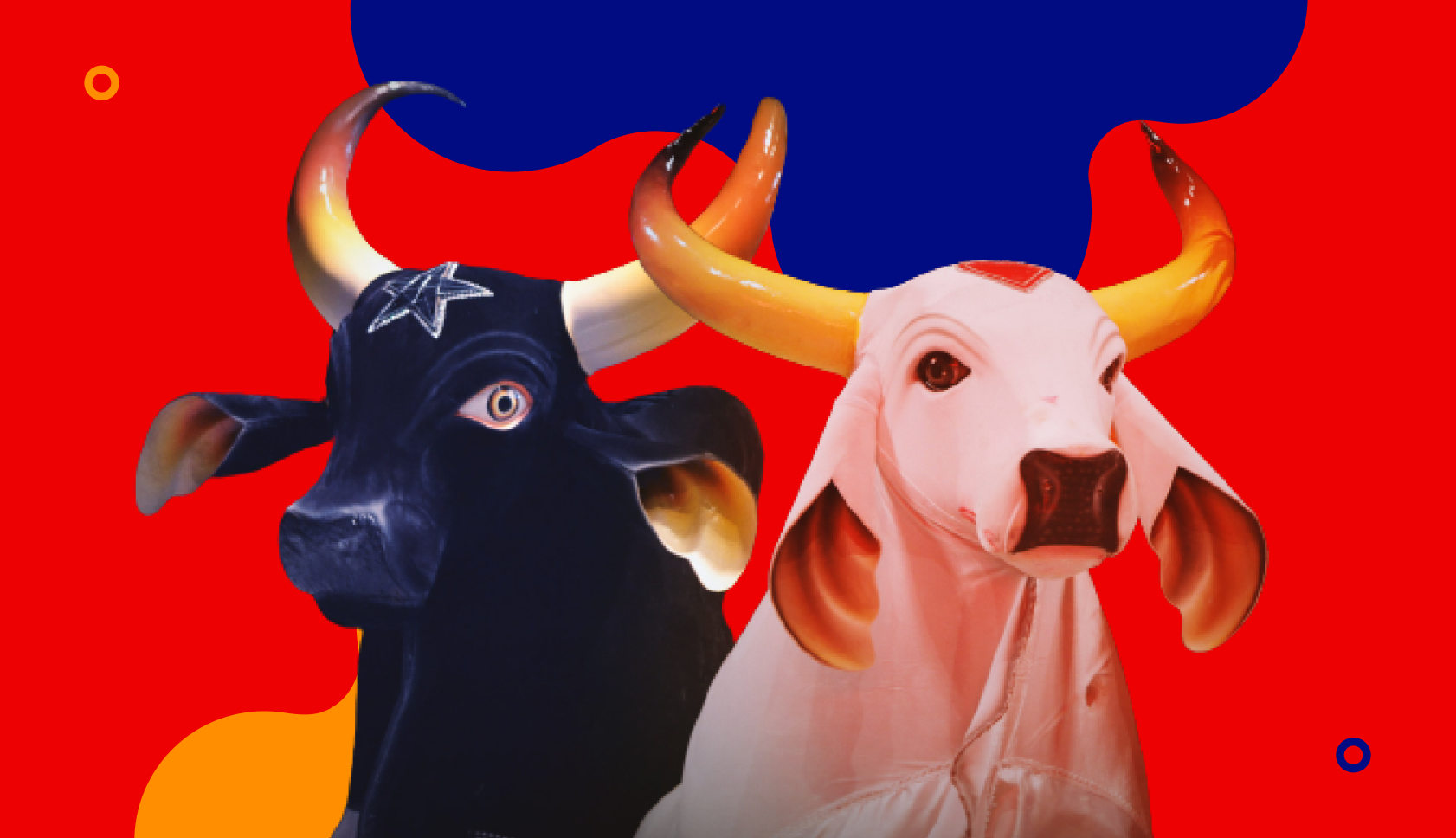 Conheça o Festival de Parintins, festa que Isabelle do BBB 24 participa ...