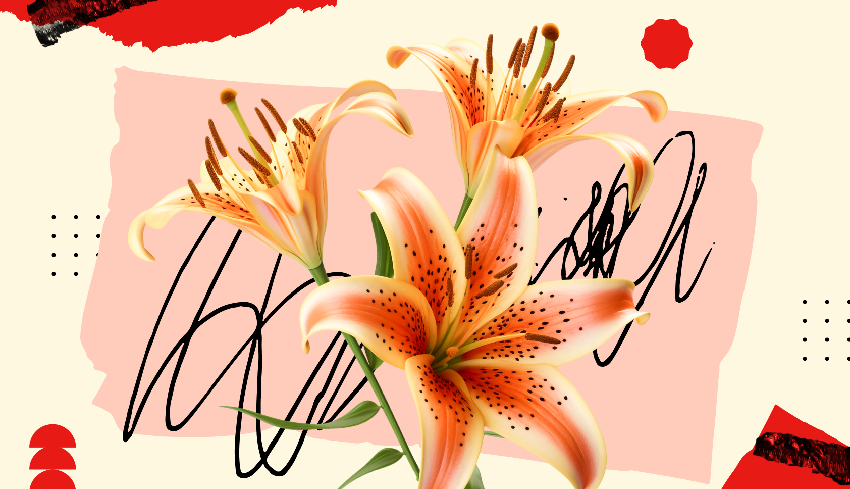 Descubre cuál es tu flor de nacimiento coreano - LETRAS.COM