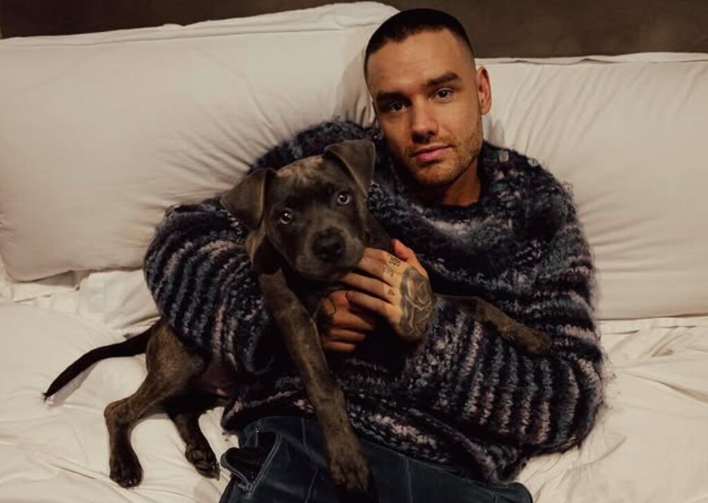 Amigo e funcionários de hotel são inocentados na morte de Liam Payne ...