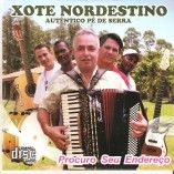 Só forro - Xote Nordestino - Palco MP3