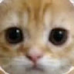 NOOKY MAN - ANIMAN STUDIOS (TRADUÇÃO) - Bukano - LETRAS.MUS.BR