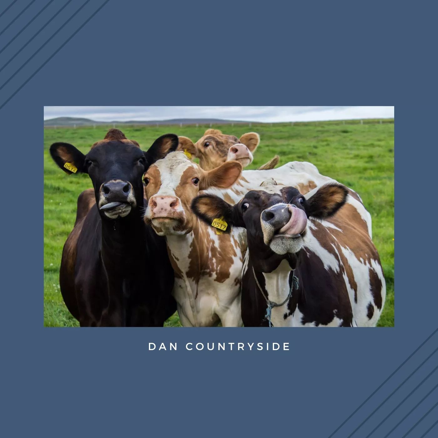Dan Countryside | Single/EP de Dan Countryside - LETRAS.COM