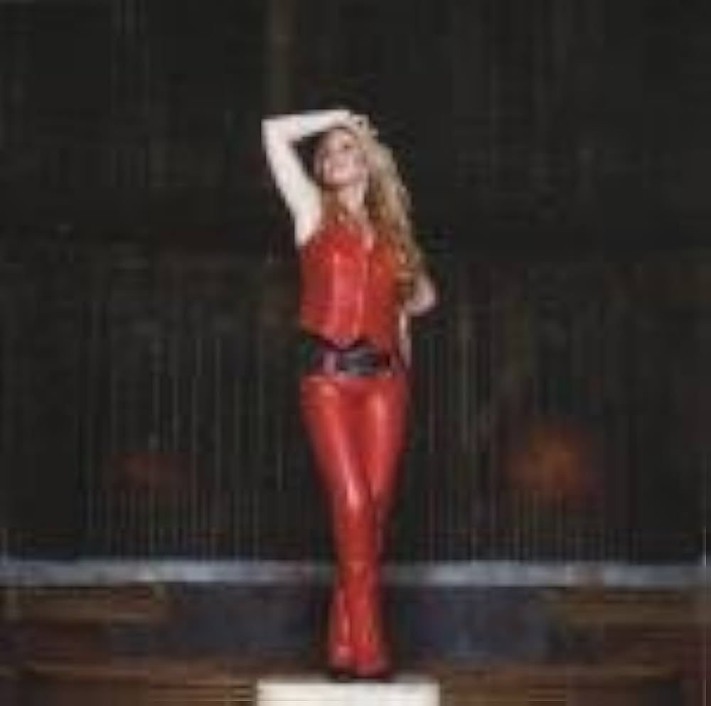 The Album | Álbum de Sanne Salomonsen - LETRAS.MUS.BR