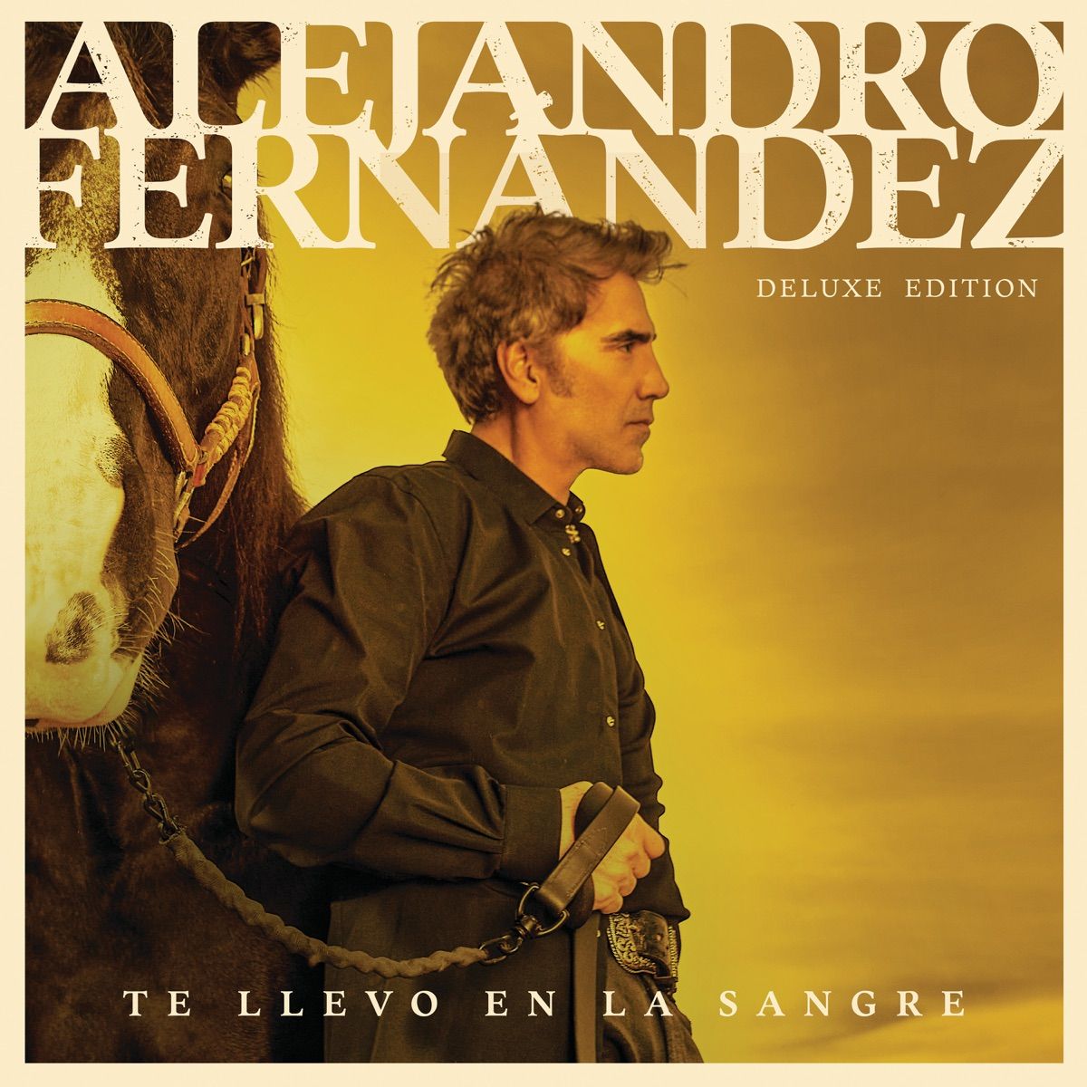 Te Llevo En La Sangre (Deluxe Edition) - Alejandro Fernández | Cifra Club