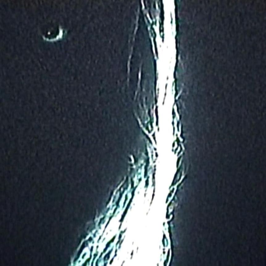 KickingTheBucket | Álbum de BONES - LETRAS.MUS.BR