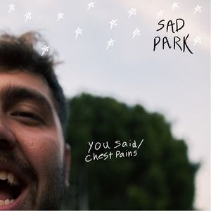 You Said / Chest Pains | Single/EP de Sad Park - LETRAS.COM