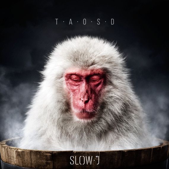 The Art of Slowing Down | Álbum de Slow J - LETRAS.MUS.BR