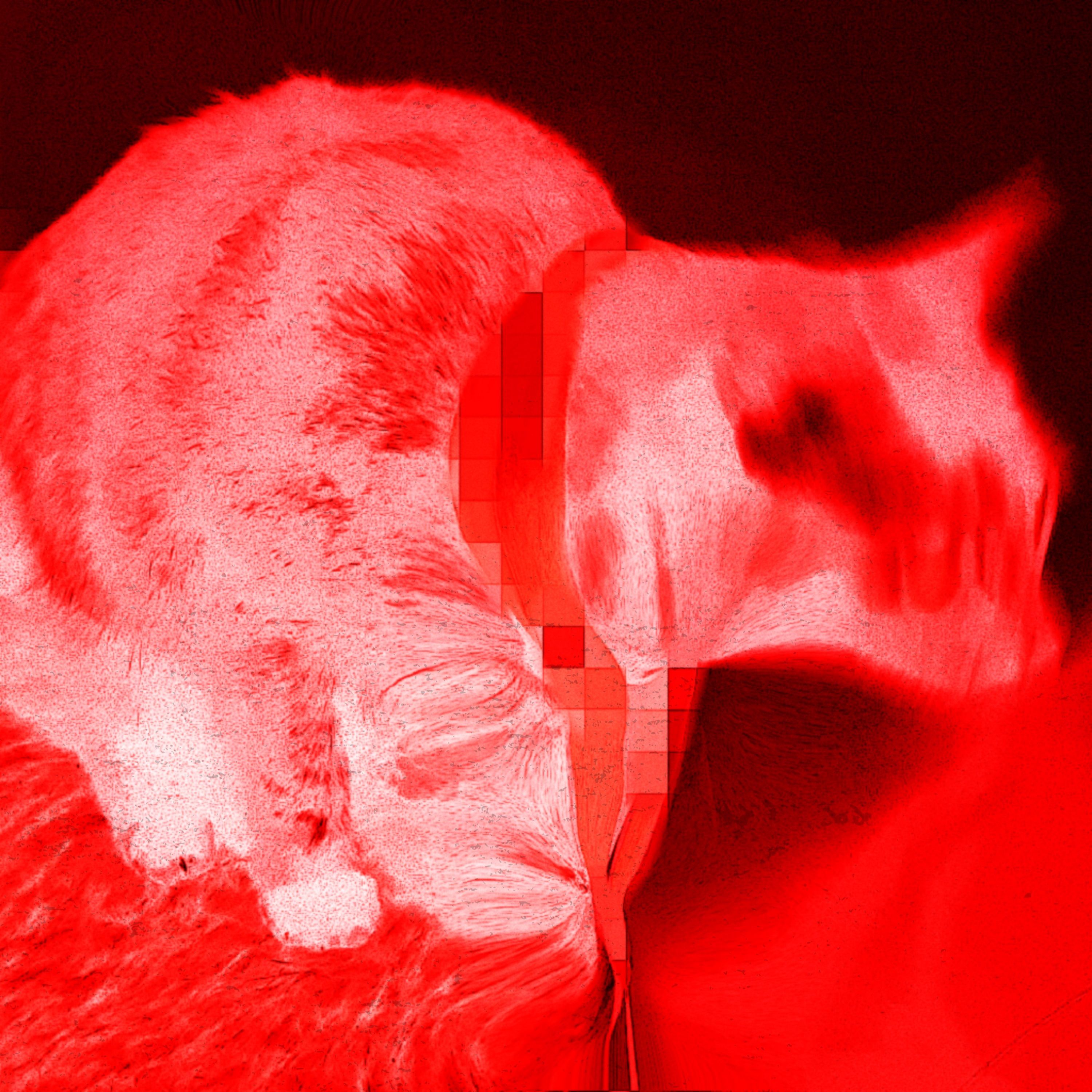 Jotavenoy | 15 álbumes de la discografía en LETRAS.COM