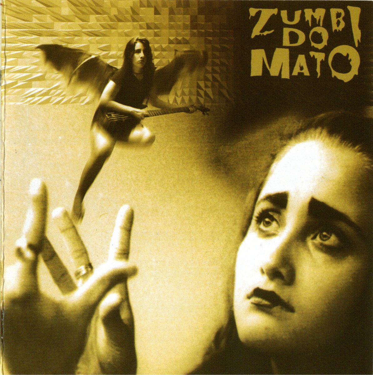 Zumbi do Mato | 1 álbum da Discografia no LETRAS.MUS.BR