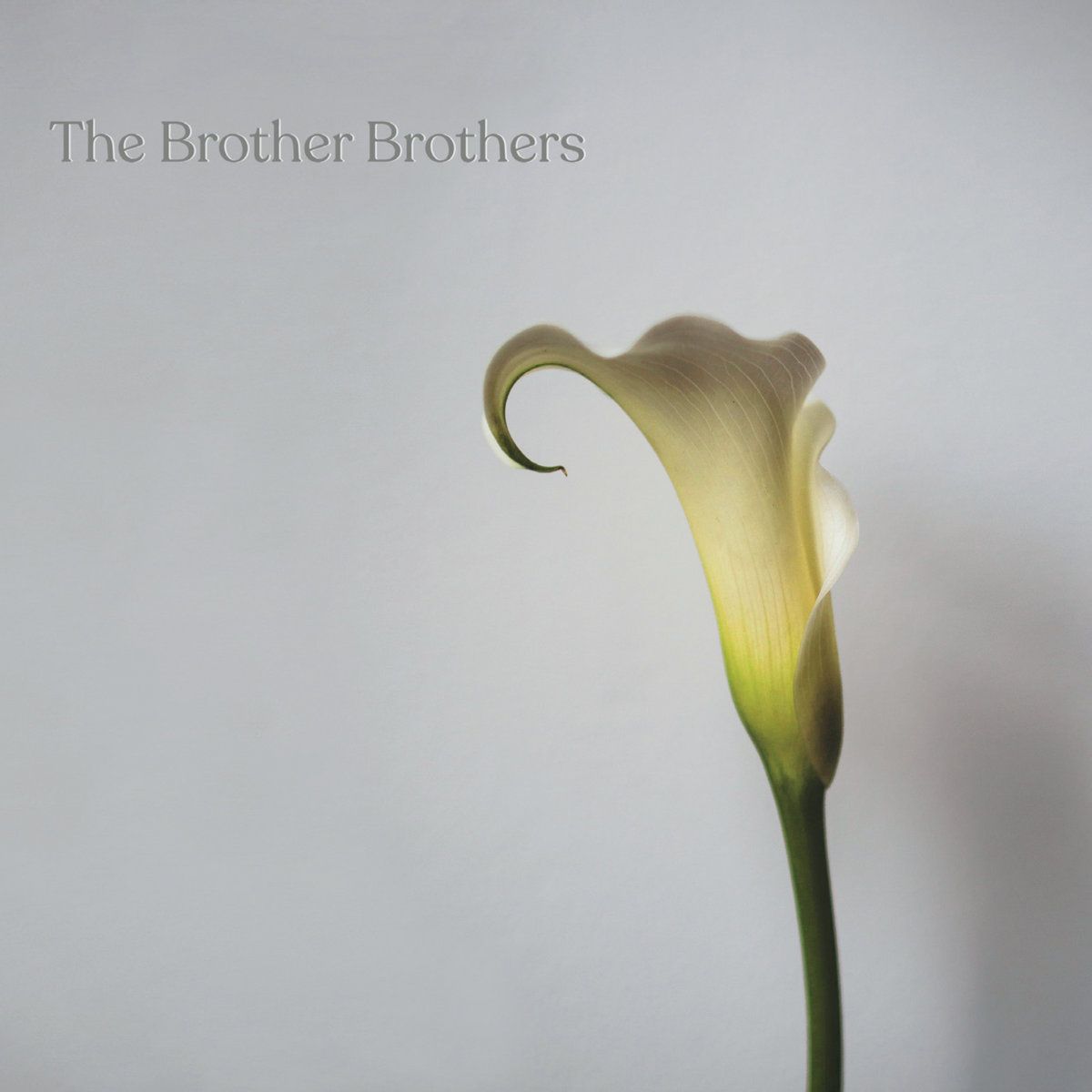 The Calla Lily Song | Single de The Brother Brothers - LETRAS.COM
