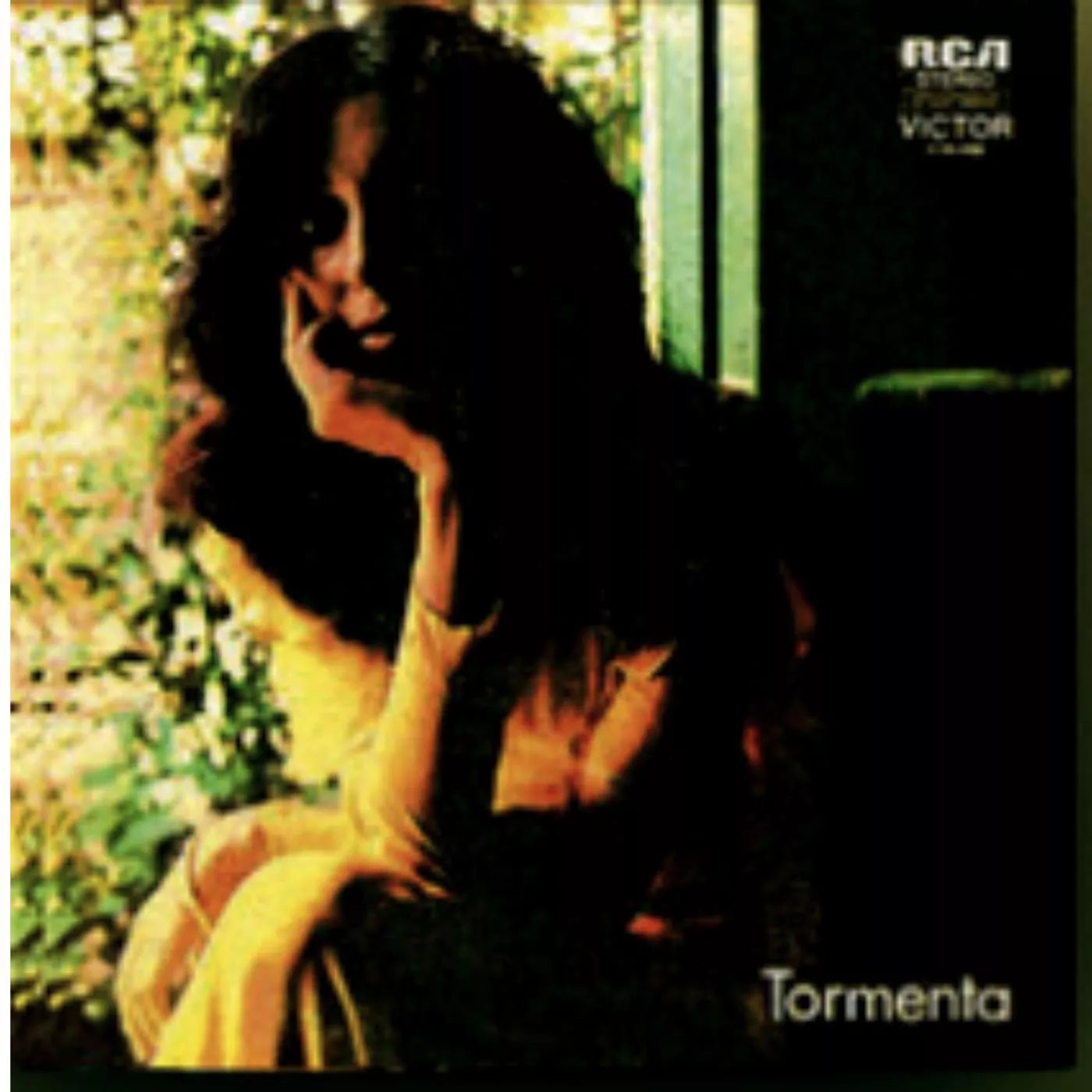 Tormenta | 13 álbuns da Discografia no LETRAS.MUS.BR