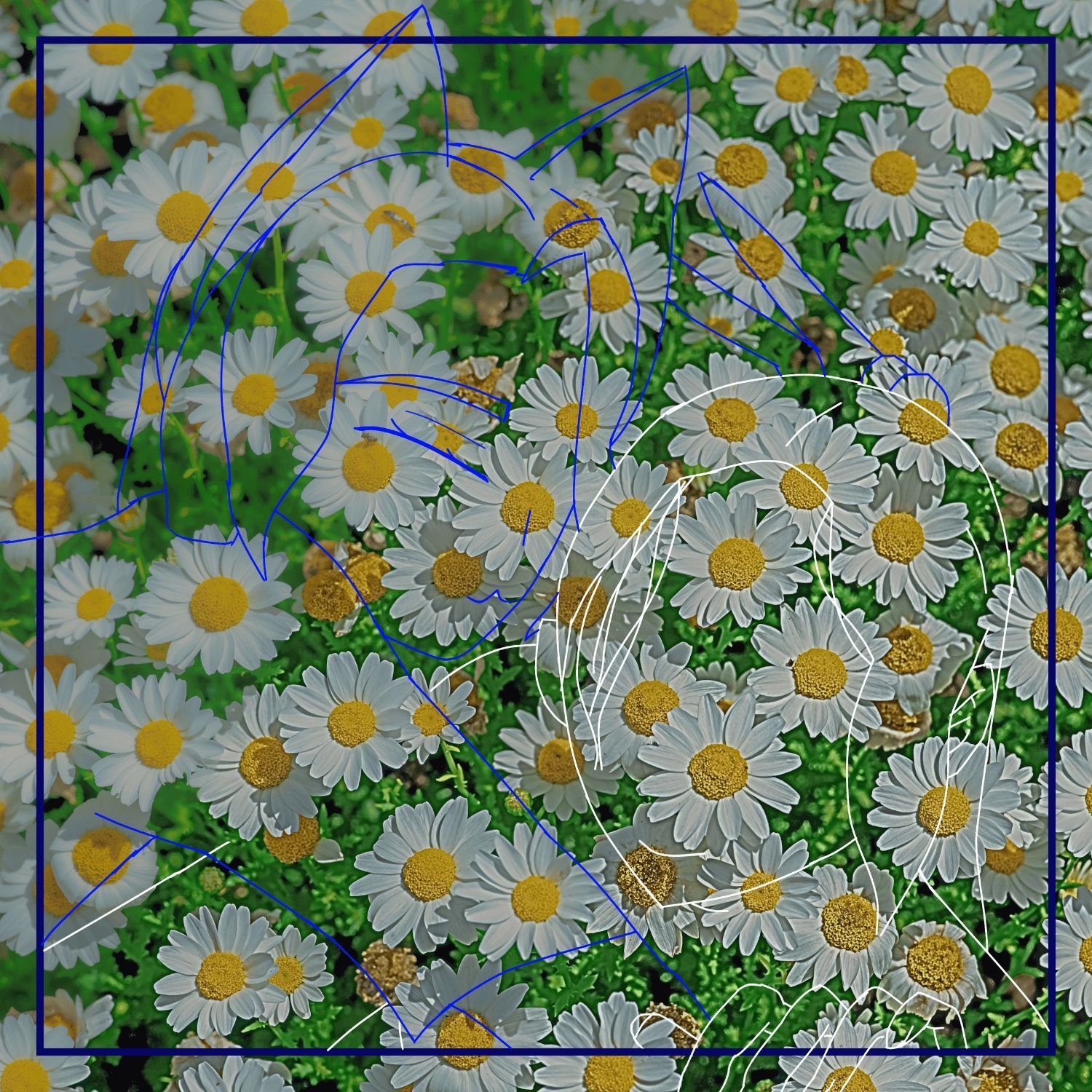 a field of... mini daisies!? | Single de Nekotsune Astra - LETRAS.MUS.BR