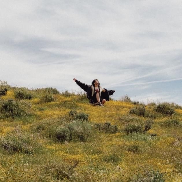 Ally Nicholas | 11 álbuns da Discografia no LETRAS.MUS.BR