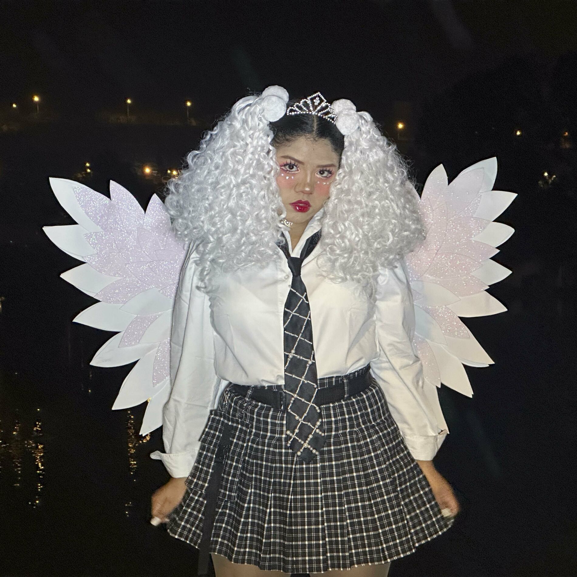 The Diary Of A Resilient Princess | Single/EP de Aly Cat - LETRAS.COM