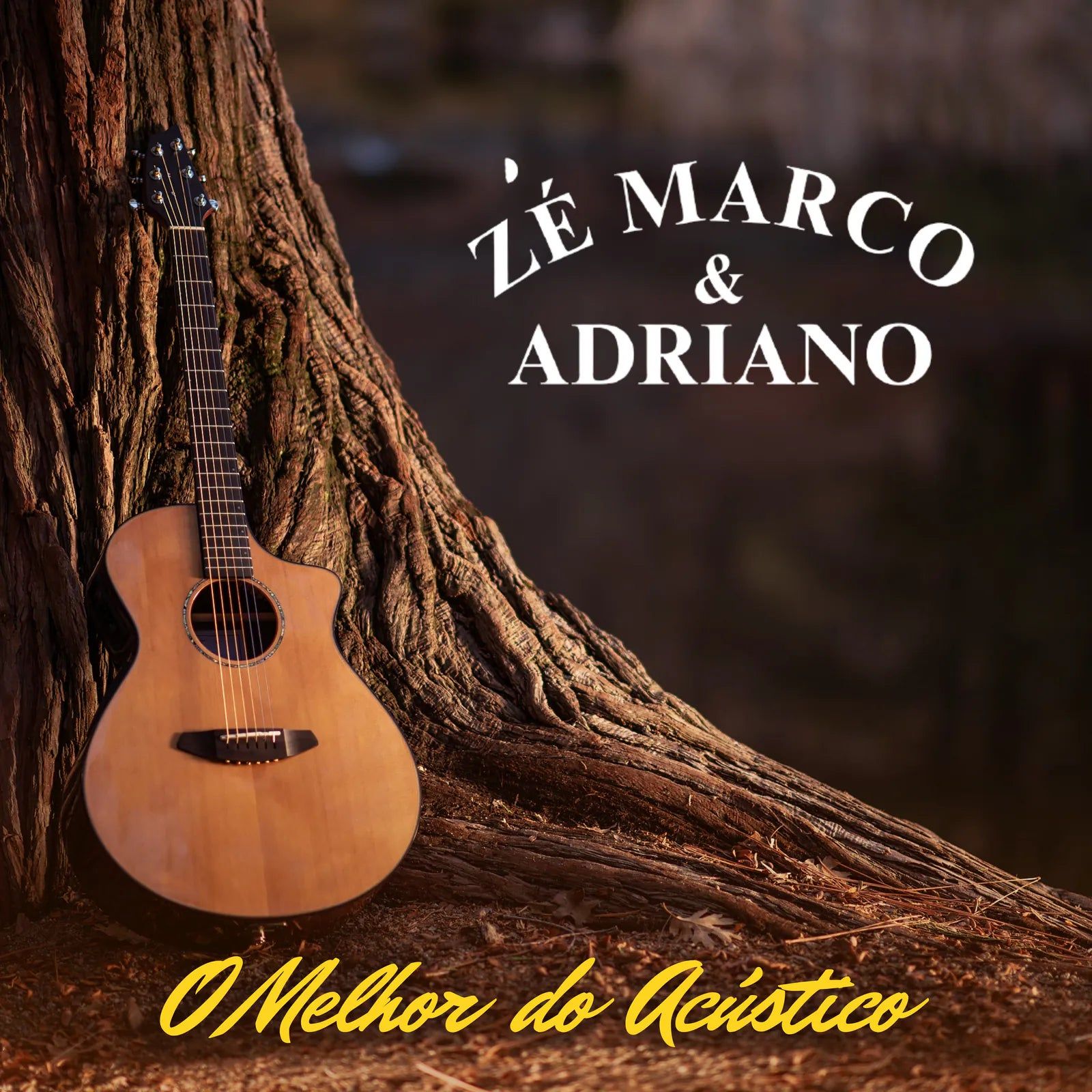 O Melhor do Acústico - Zé Marco e Adriano | Cifra Club