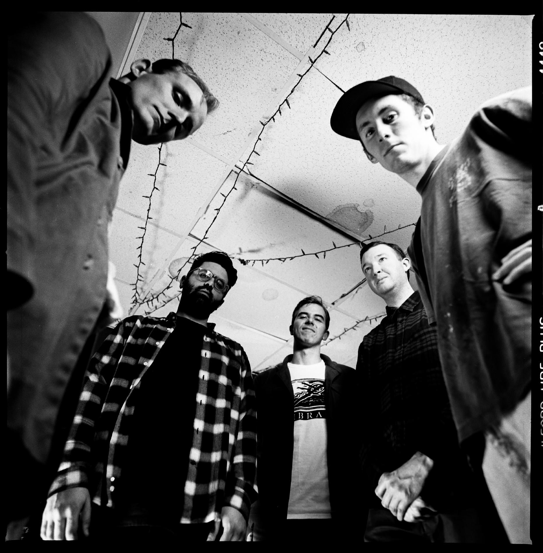Down University Fiddlehead LETRAS MUS BR Down University Fiddlehead LETRAS MUS BR