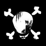 Significado da música COMPASS (Sail North) - LETRAS.MUS.BR