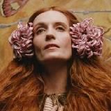 Spectrum - Florence + The Machine - LETRAS.MUS.BR