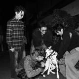 Significado de la canción SPECIALZ (TV SIZE) (King Gnu) - LETRAS.COM