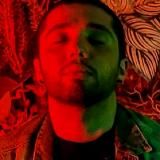 Kim - Dann - LETRAS.MUS.BR