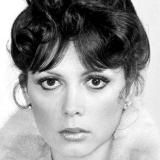 TELL ME A LIE (TRADUÇÃO) - Sami Jo - LETRAS.MUS.BR