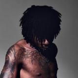 SAVIOR: traduction française de Novulent