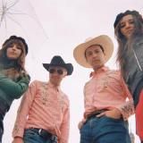 Significado da música LA FEMME RESSORT (La Femme) - LETRAS.MUS.BR