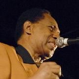 Worried Life Blues - Billy Boy Arnold - LETRAS.MUS.BR