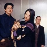 ANDREW IN DRAG (EN ESPAÑOL) - The Magnetic Fields - LETRAS.COM