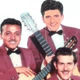 EL PRESO NÚMERO 9 (TRADUÇÃO) - Los Tres Caballeros - LETRAS.COM