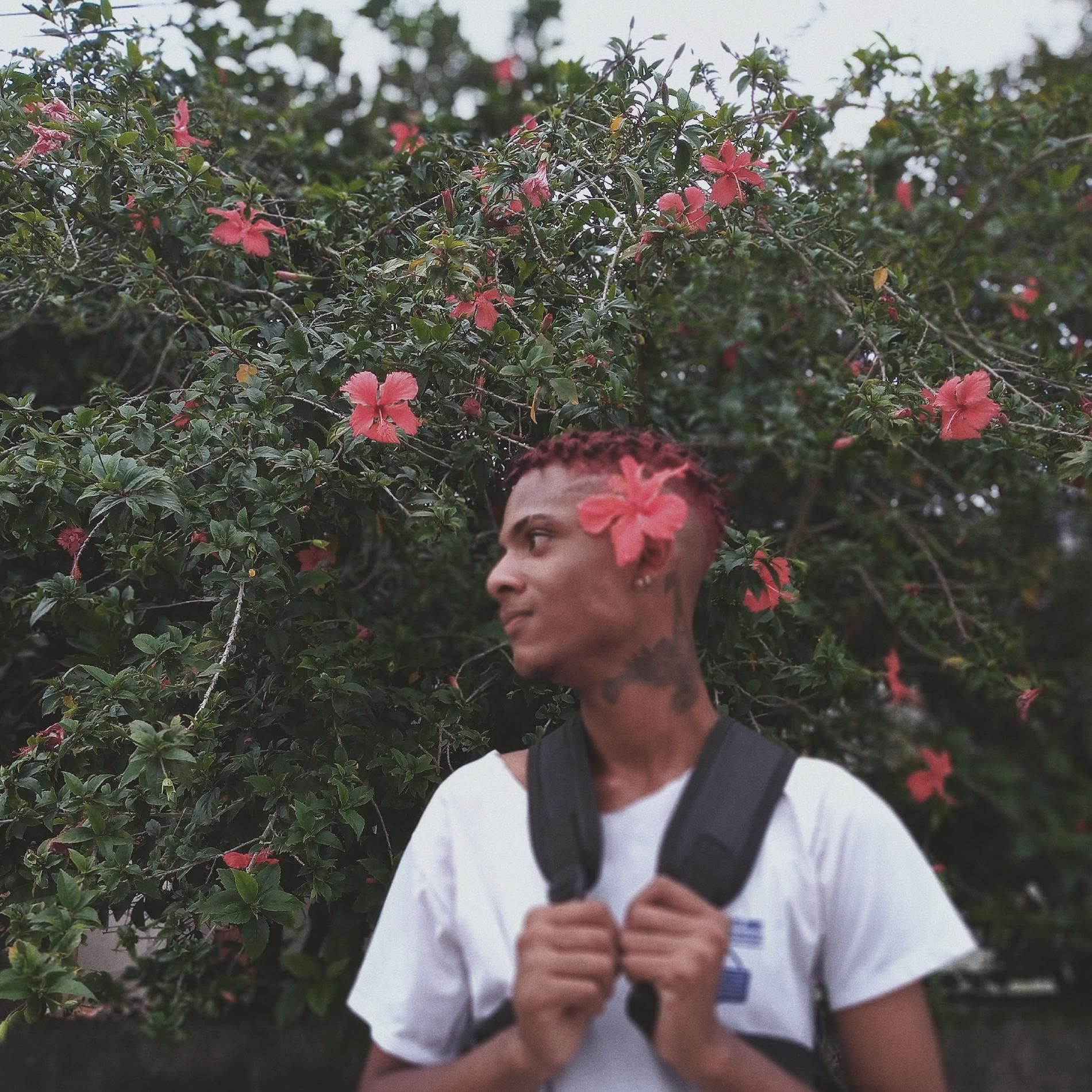 Alezin fotos (6 fotos) - LETRAS.MUS.BR