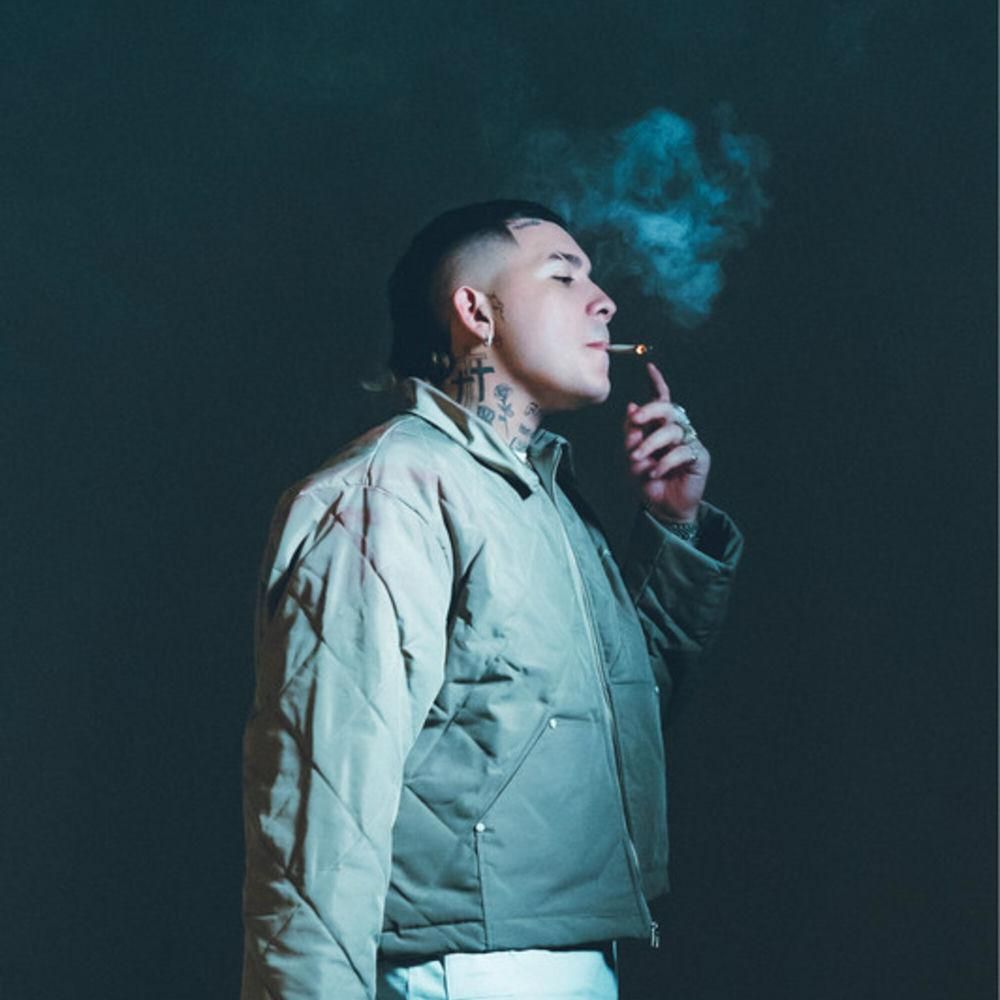 YOGURCITO (remix) (part. Blessd, Anuel AA, Luar La L, ROA y Yan Block) - Kris R. - LETRAS.MUS.BR