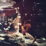 花喰み (HANABAMI) - Phantom Siita - LETRAS.COM